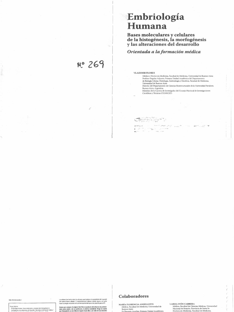 Flores (Embrio) | PDF