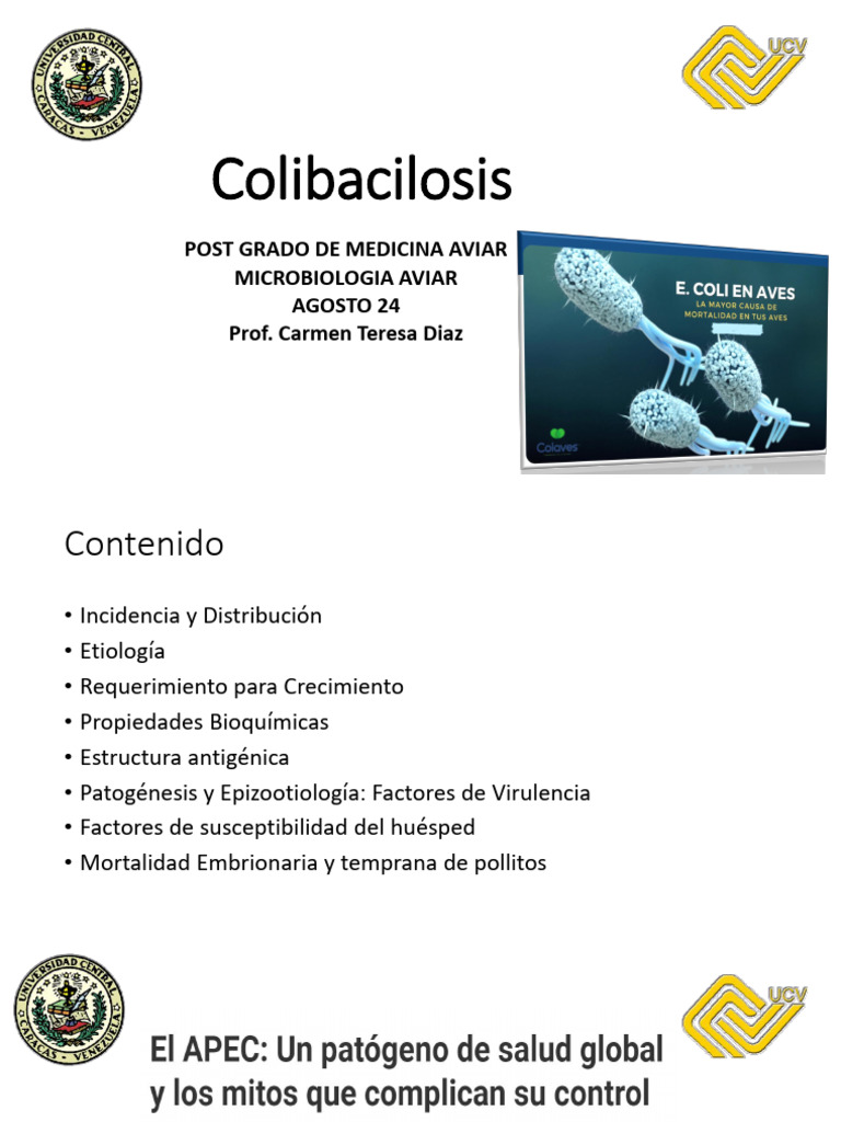 Colibacilosis Aviar: Etiología y Patología | PDF | Escherichia coli ...