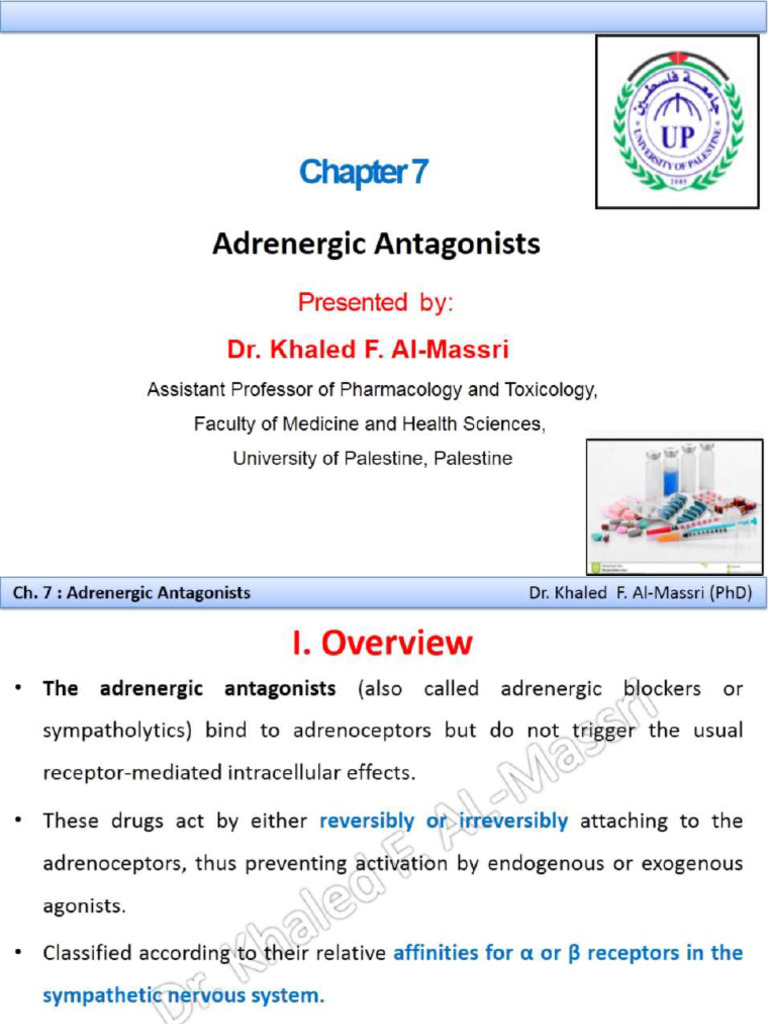 Chapter 7 Adrenergic Antagonist | PDF
