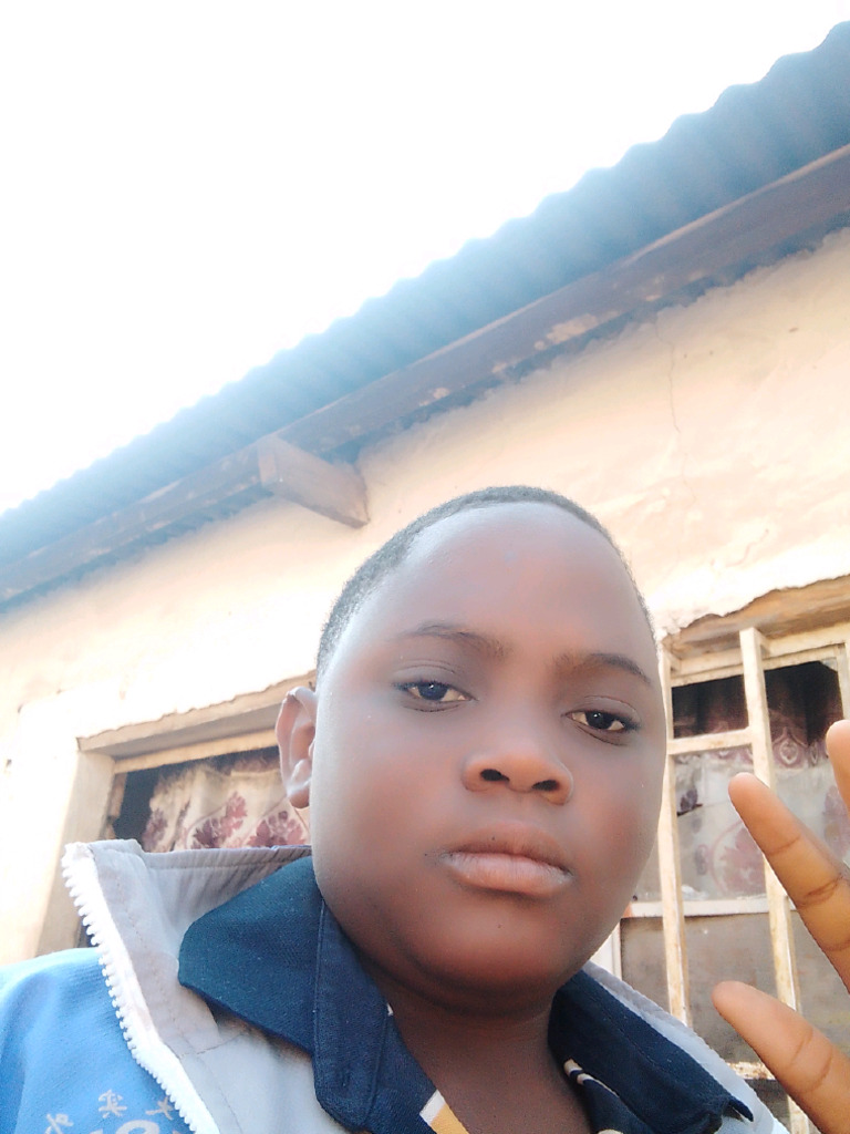 PDF Phoenix 20241110 202934 | PDF