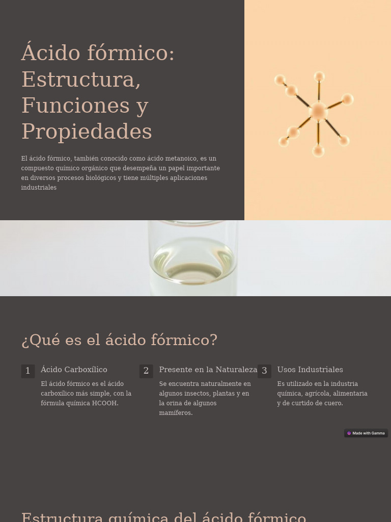 Acido Formico Estructura Funciones y Propiedades (1) | PDF | Ácido ...