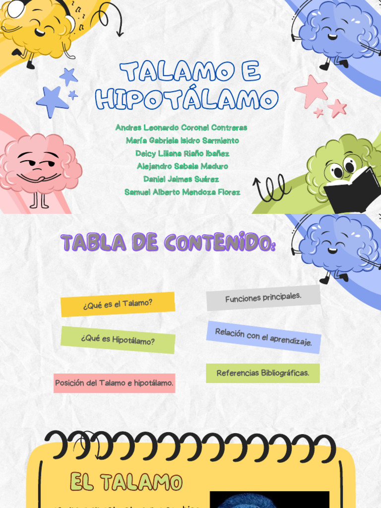 Funciones del Tálamo y Hipotálamo | PDF | Hipotálamo | Tálamo