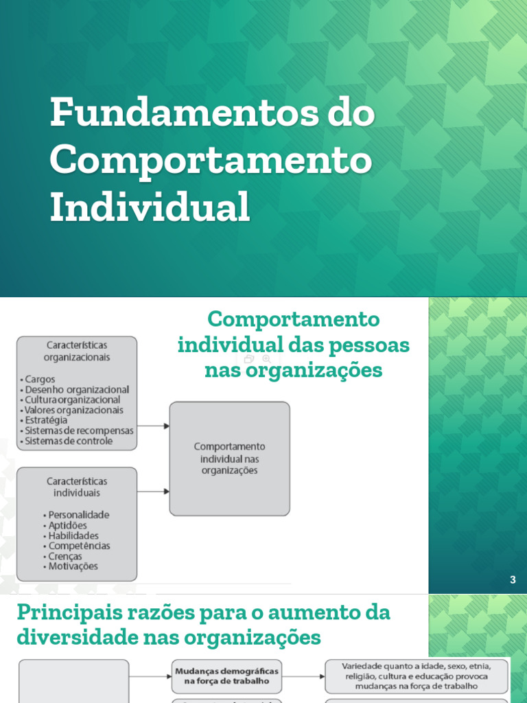 AULA3 FUNDAMENTOSDOCOMPORTAMENTOINDIVIDUALa559072 | PDF | Aprendizado | Comportamento