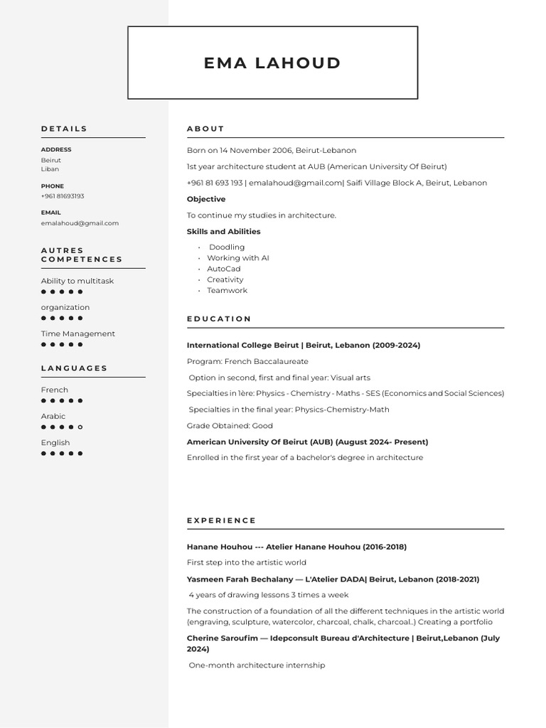 CV Ema Lahoud English | PDF