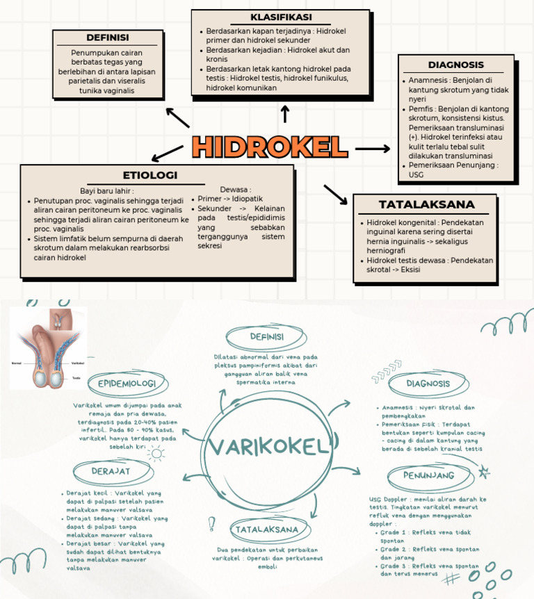 Hidrokel Dan Varikokel | PDF