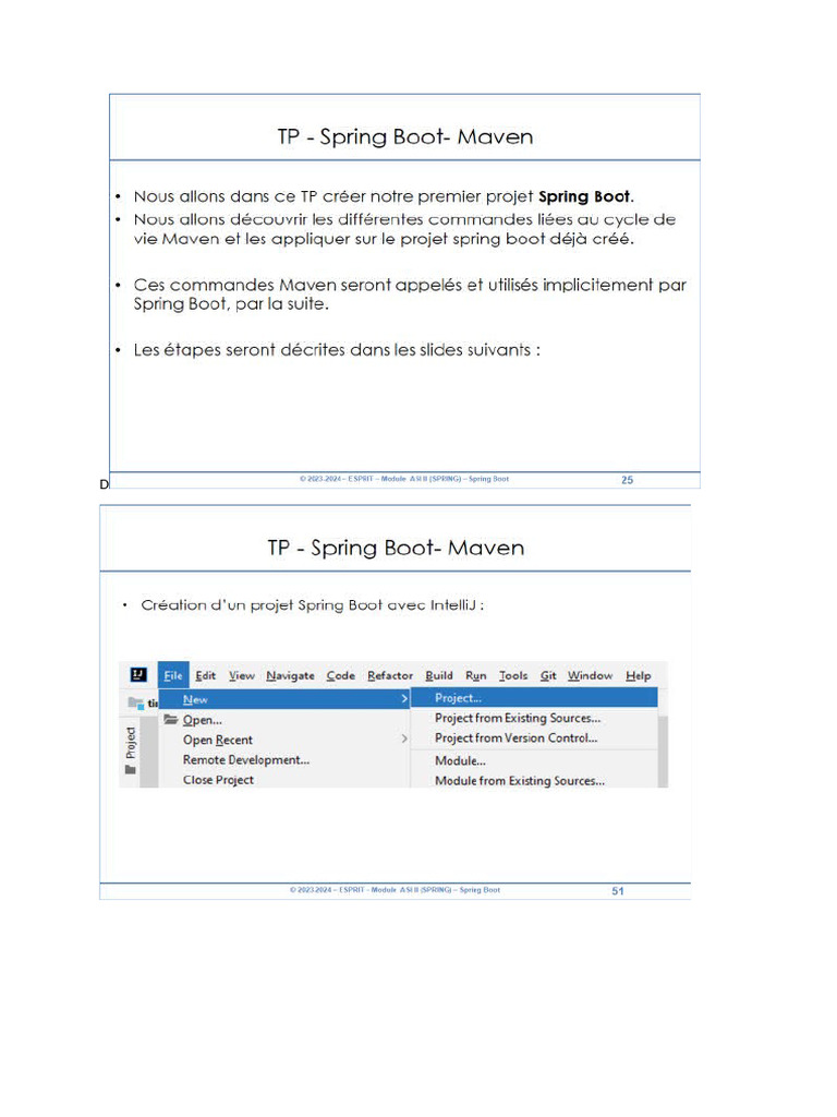 Activité Maven | PDF