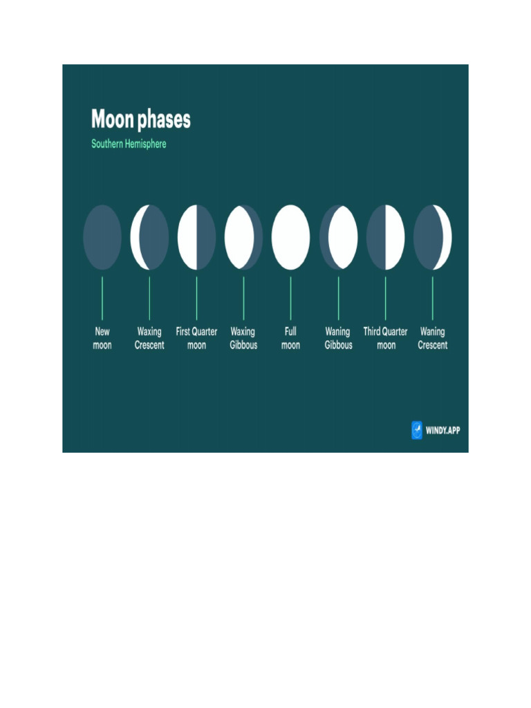 Phases of The Moon | PDF