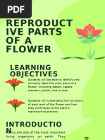 Rose Flower Anatomy and Functions | PDF