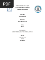 Capas de La Retina | PDF | Retina | Percepción visual