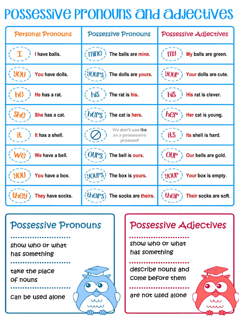 Starters Possessive Pronouns | PDF