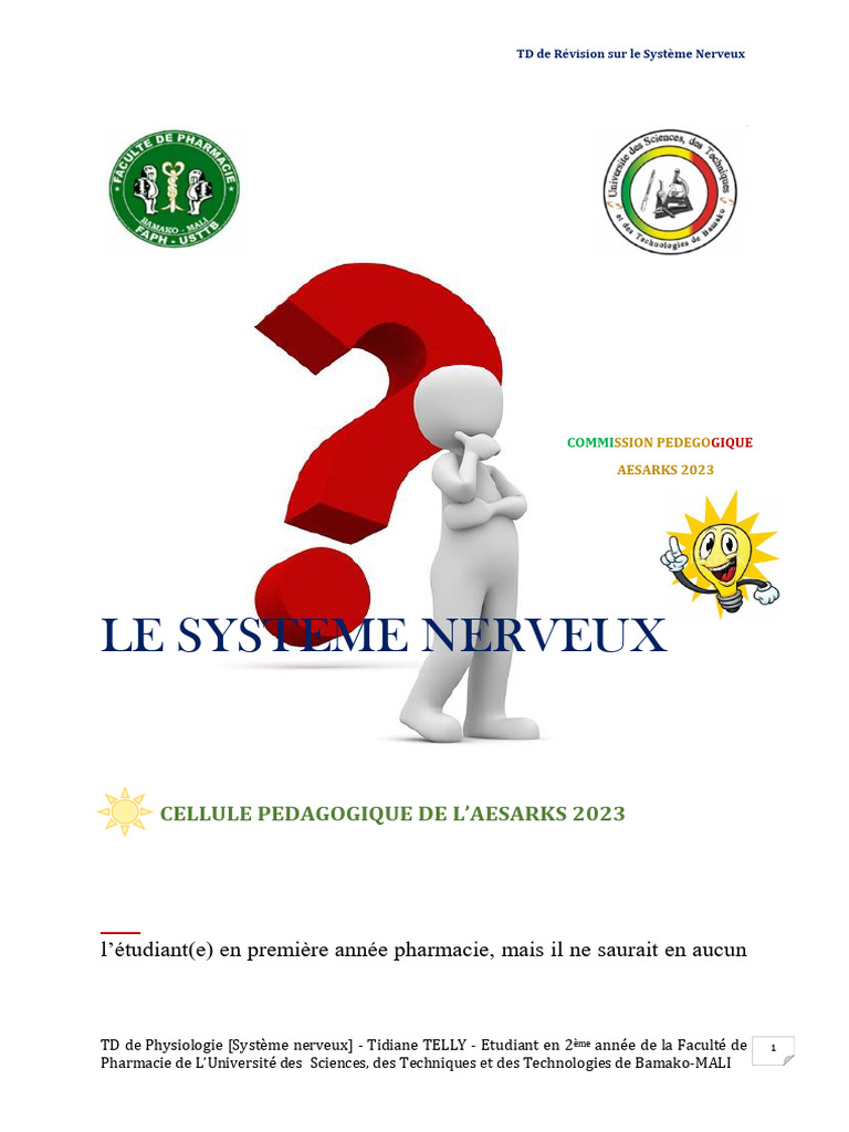Révision sur le Système Nerveux | PDF | Nerf | Système nerveux central