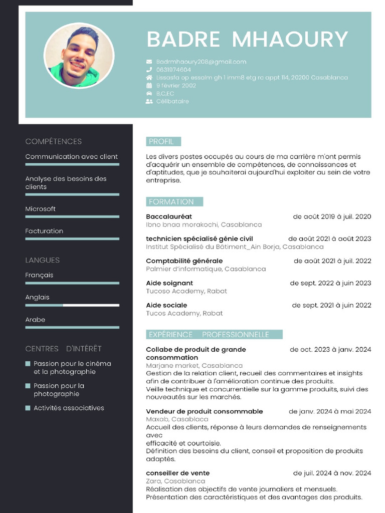CV 2024:2 | PDF