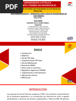 Clase 7-Cascada Ras-MAPK | PDF | Nucleo celular | Quinasa