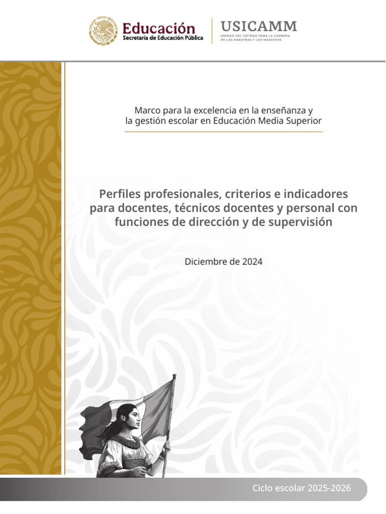 Marco para La Excelencia - Perfiles Profesionaes - Ems - 2024-2025 ...