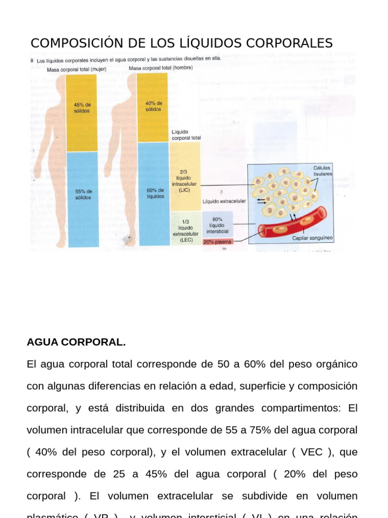Composición de Los Líquidos Corporales | PDF | Sodio | Calcio