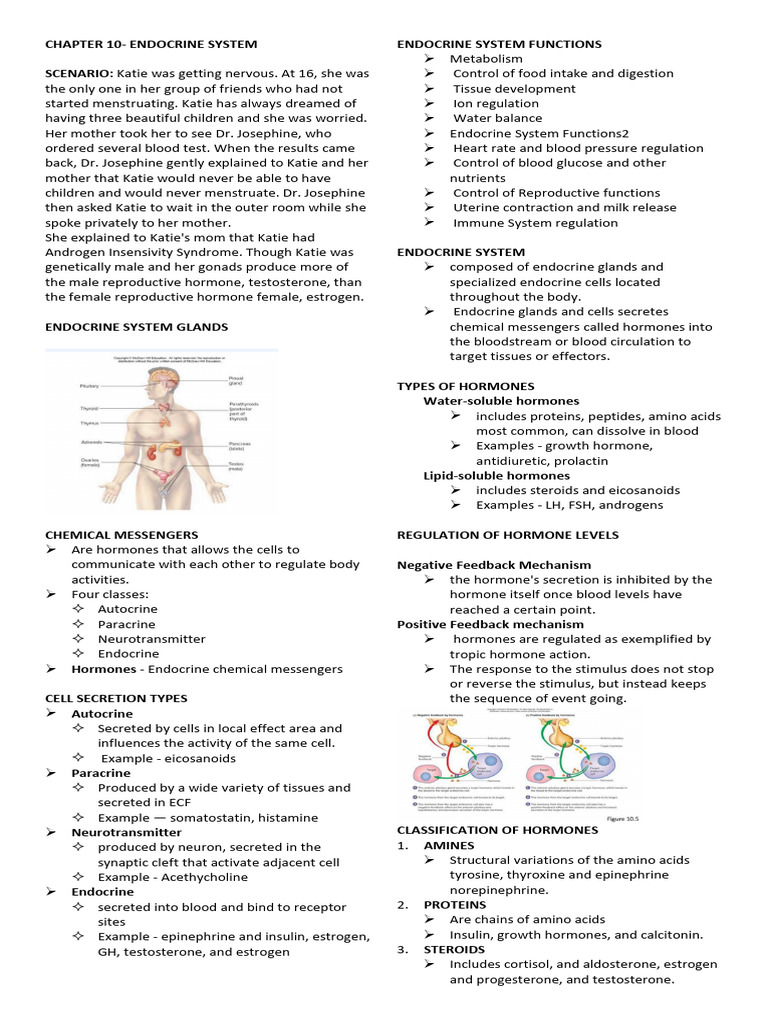 CHAPTER 10 ENDOCRINE SYSTEM | PDF | Endocrine System | Pancreas