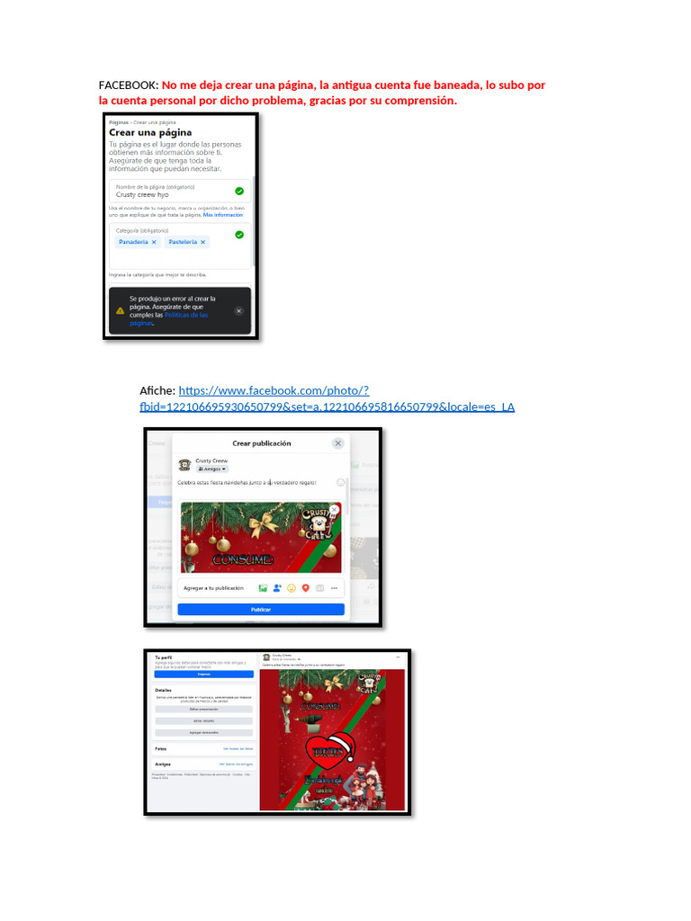 PUBLICACION_DE_AFICHE_Y_VIDEO | PDF