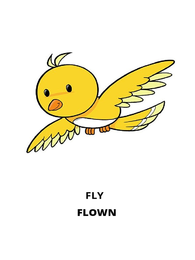 Flown | PDF