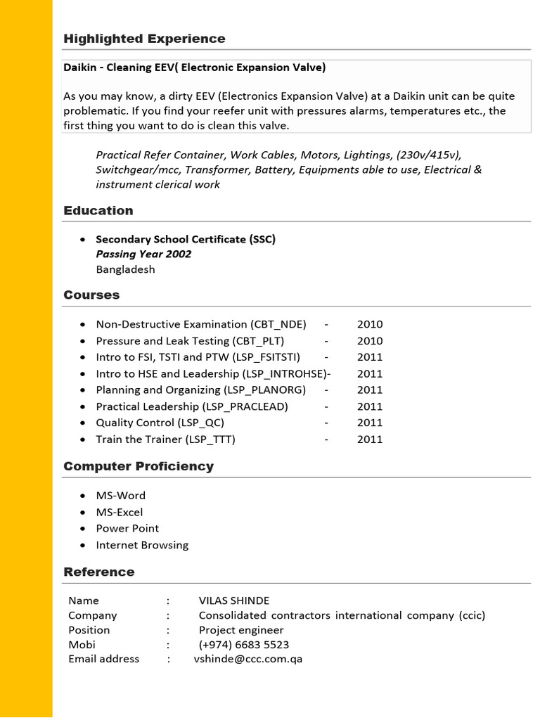 Danish Resume 2 | PDF
