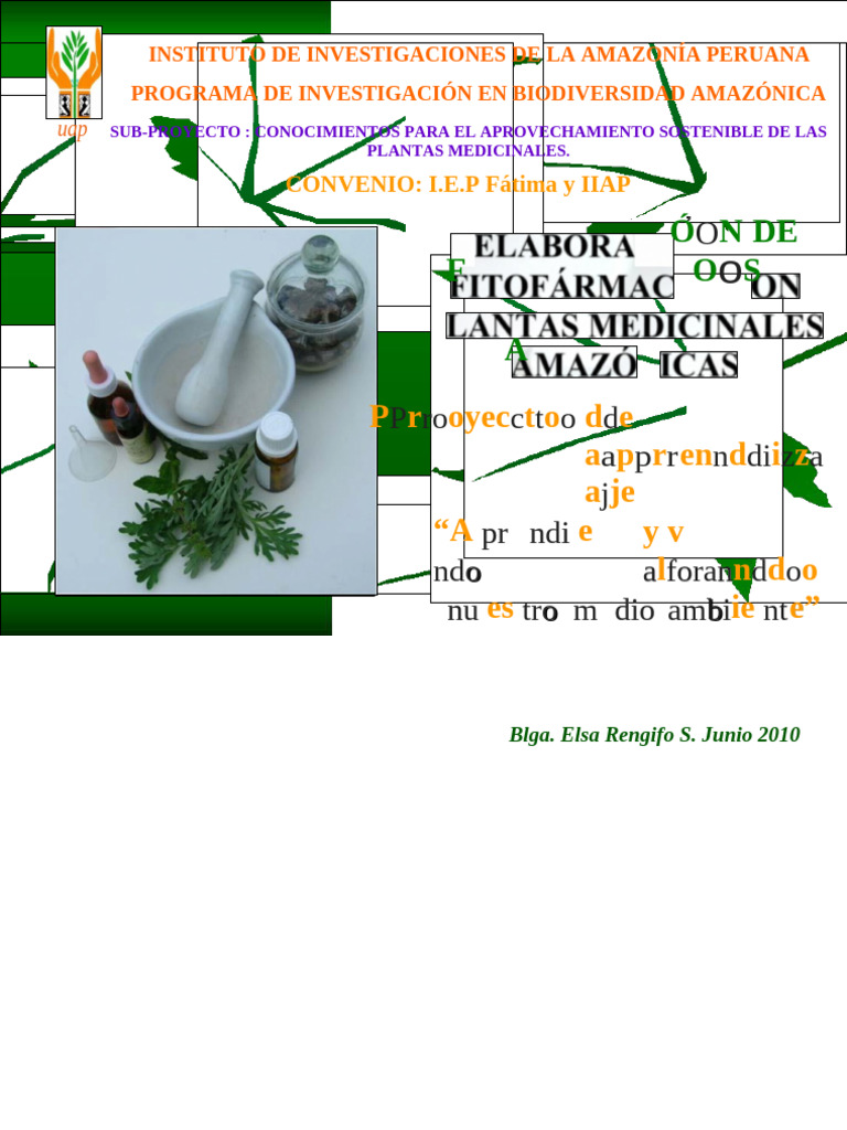 Proyect Plantas y Jarabes | PDF