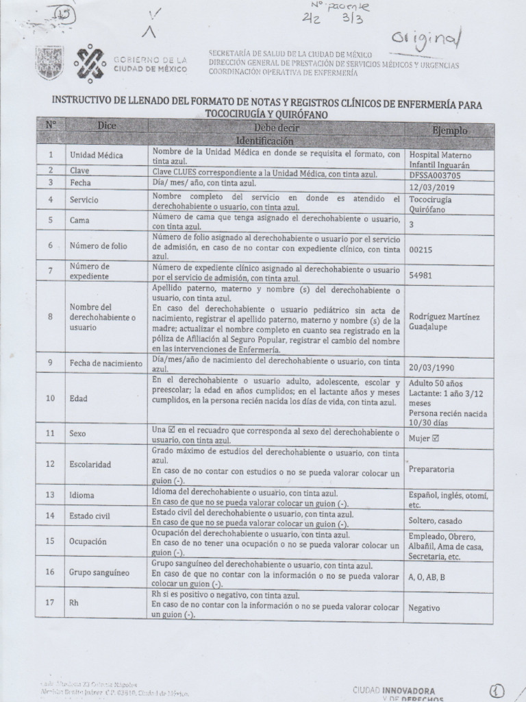 Instructivo de Llenado Del Formato de Notas y Registros Clínicos de ...