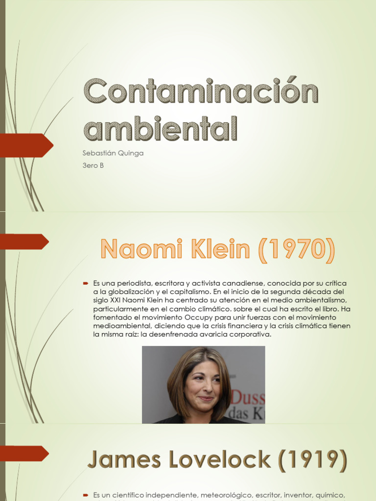 3B - S.quinga - Contaminación Ambiental | PDF