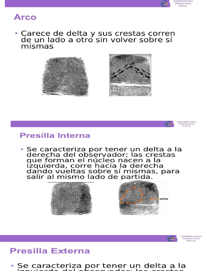 Presentación 5 | PDF