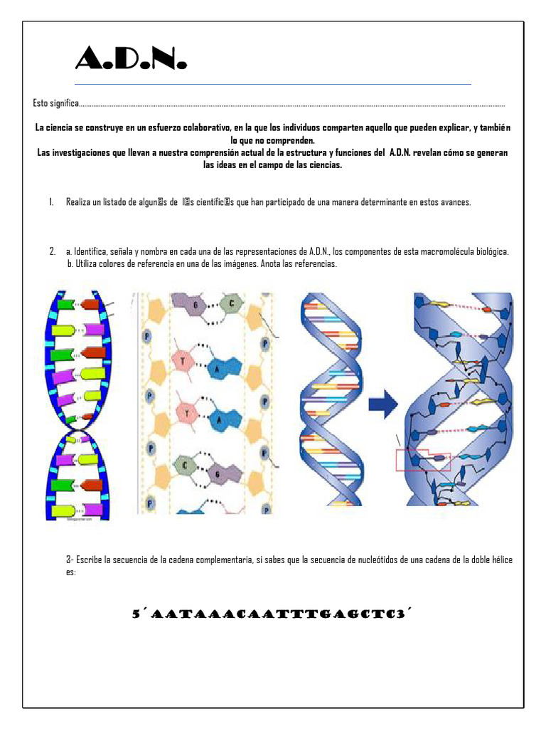 Adn 2022 | PDF