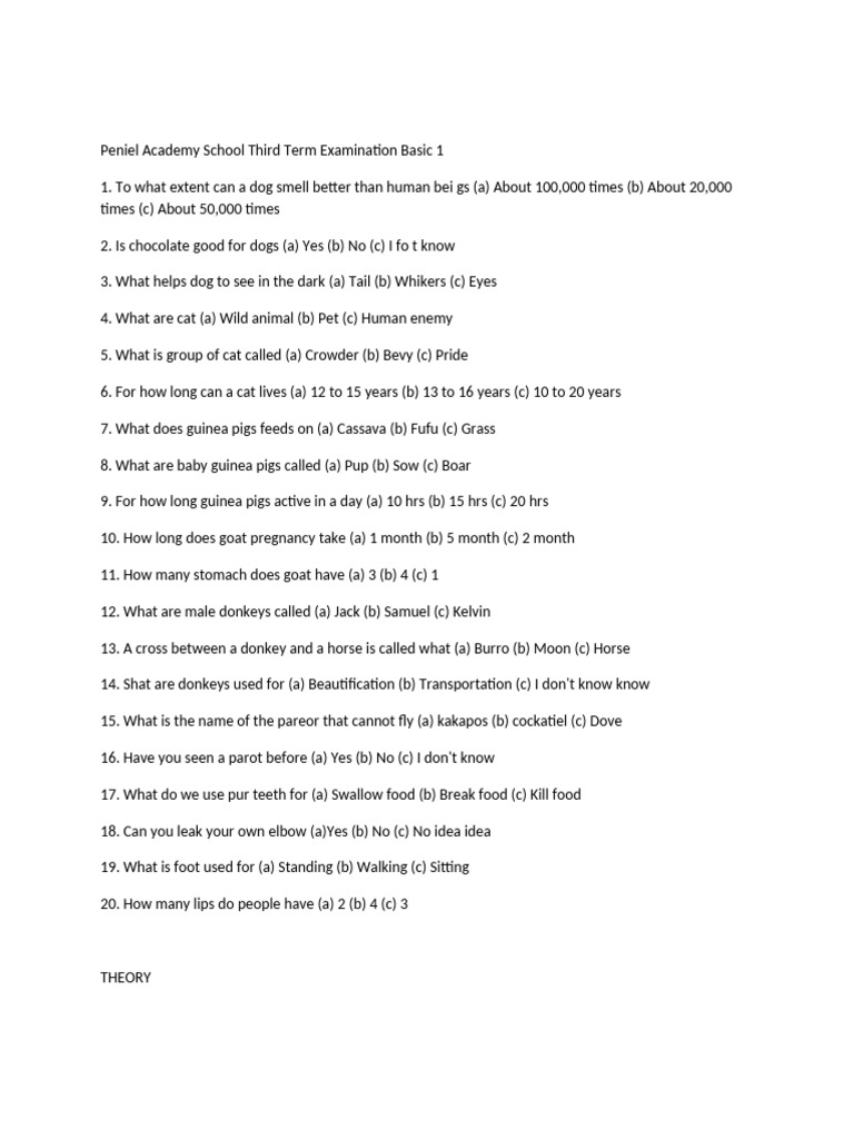 Peniel Academy Third Term Examination Basic 1 | PDF