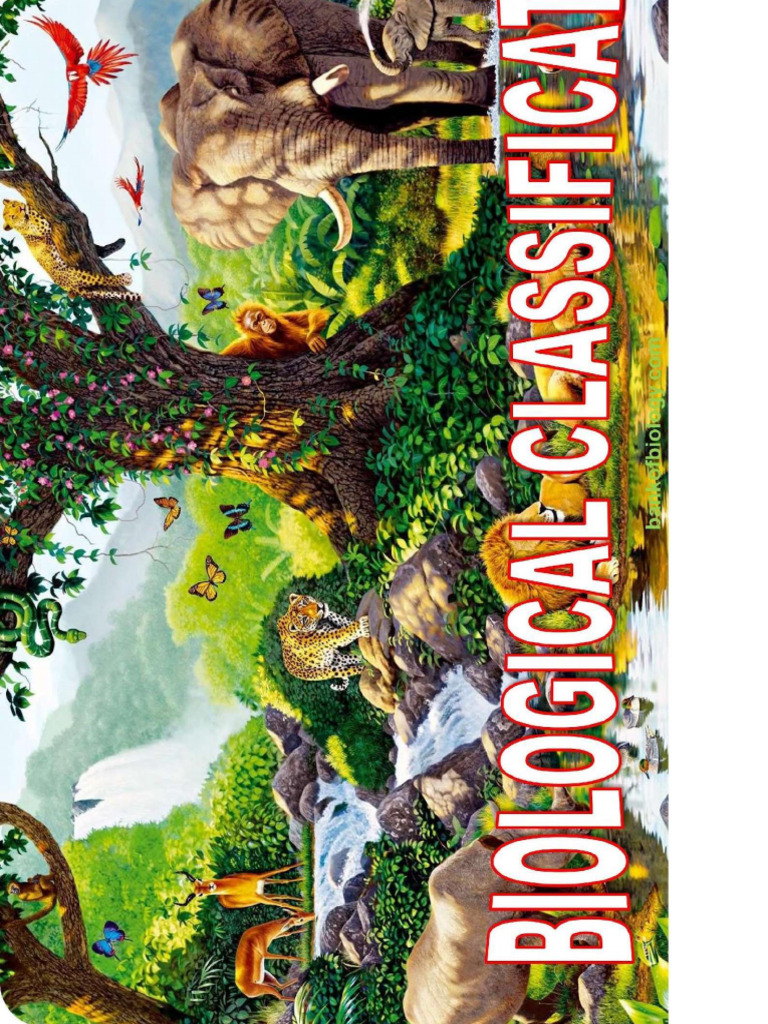 Introduction To Biology | PDF