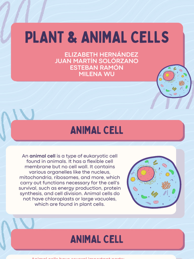 Rganelles & Structures Lesson Presentation in Blue and Pink Hand Drawn ...
