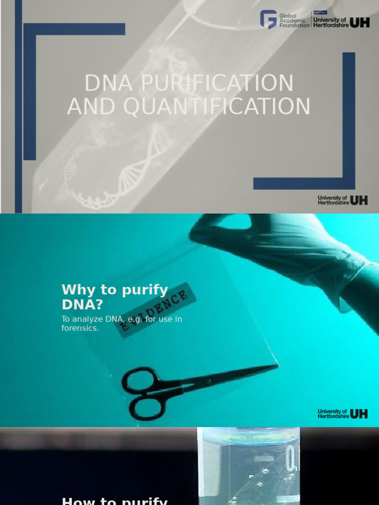 Lab 3 DNA Purification and Quantification 2024_-1156795856 | PDF ...