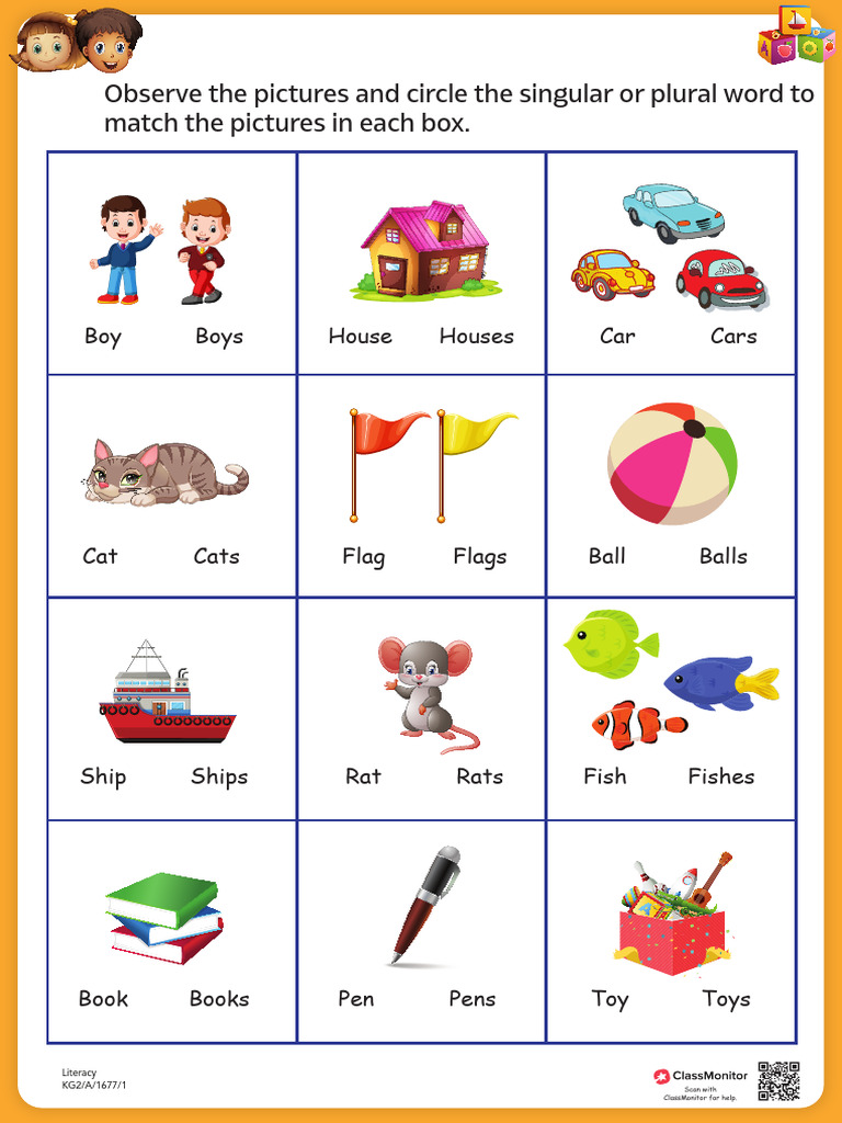 Singular and Plural Word Matching Activity | PDF