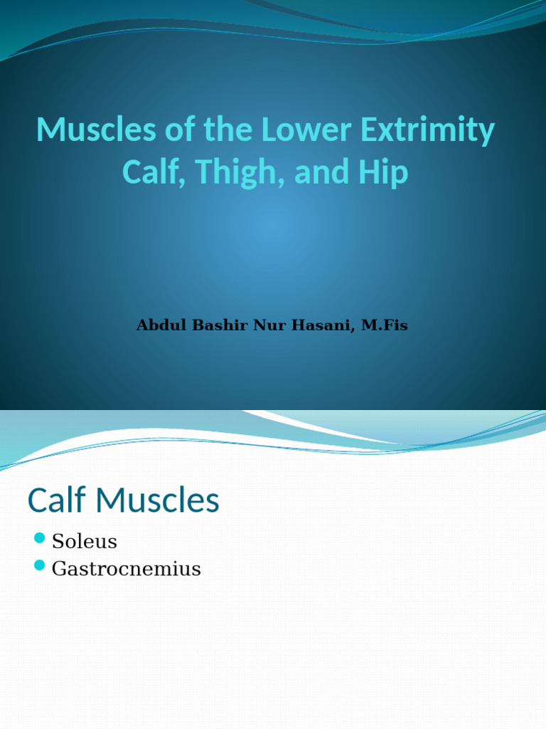Lower Extremity Muscle Anatomy Guide | PDF | Human Leg ...
