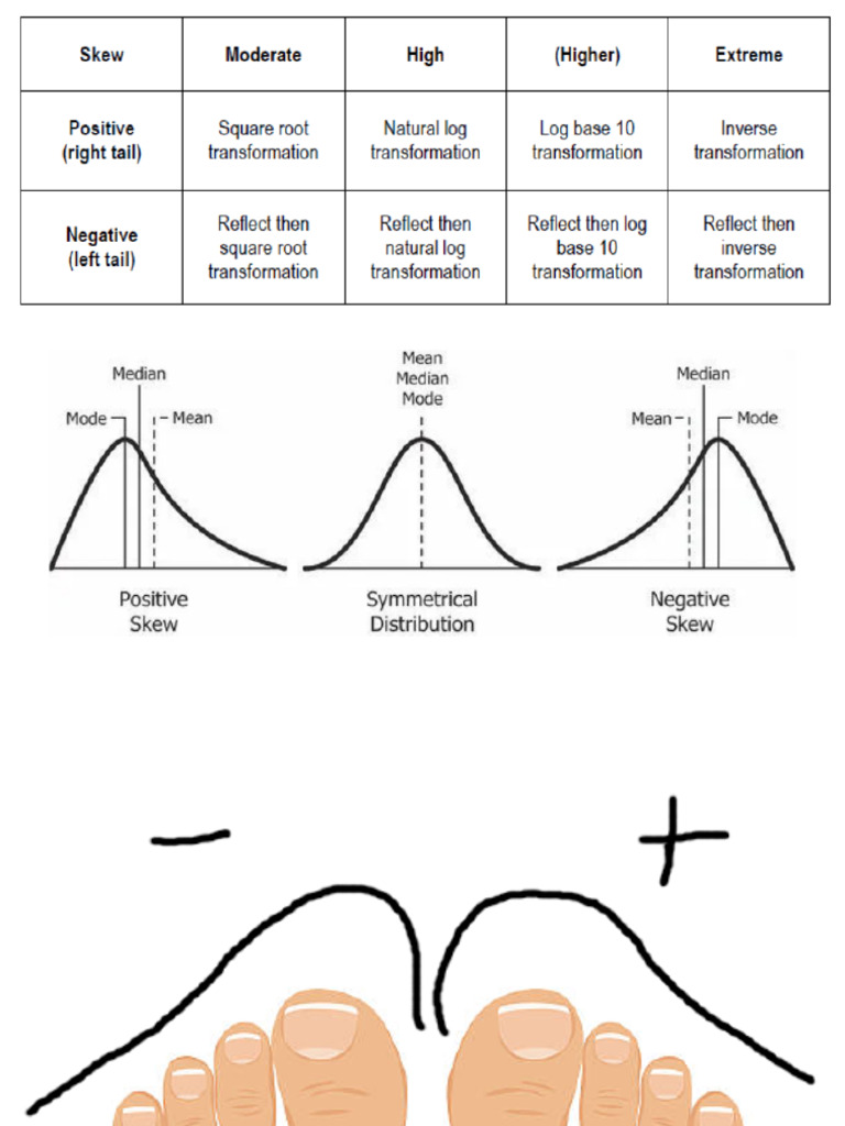 Transformaci Ones | PDF
