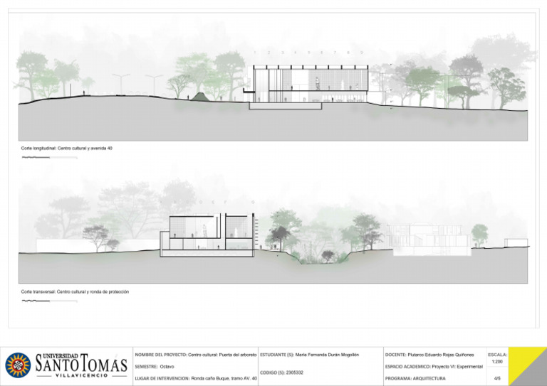 04 Corte Transversal y Longitudinal 1 | PDF