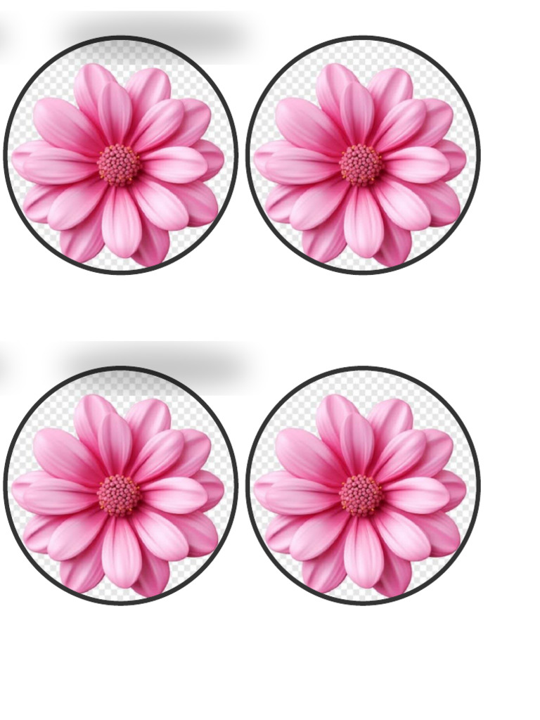 FLOWER | PDF