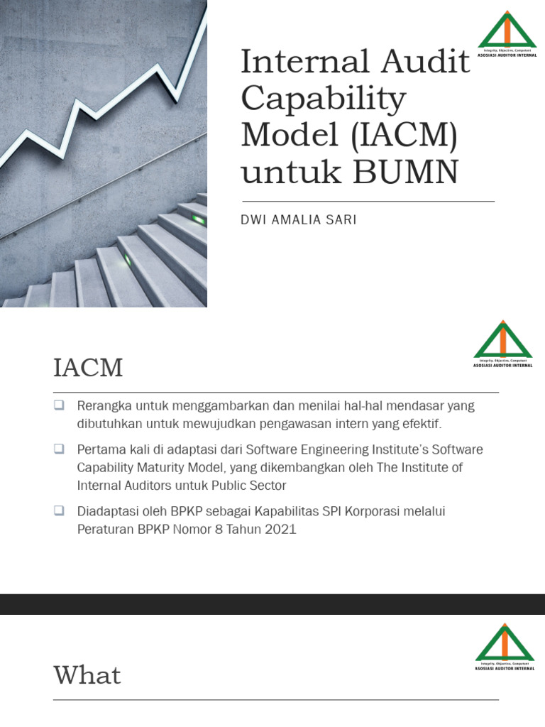 Internal Audit Capability | PDF