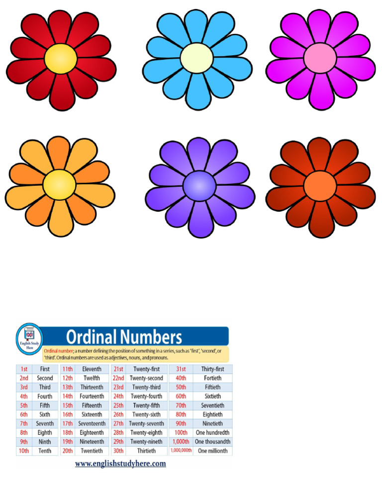 Flower Multiplication Clipart | PDF