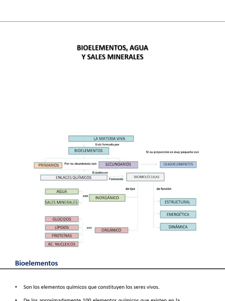 Bioelementos, Agua y Minerales | PDF | Agua | Polaridad química