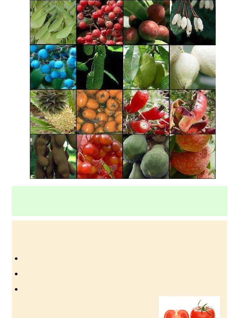 Funciones Clave del Fruto | PDF