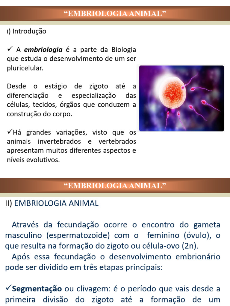 EMBRIOLOGIA ANIMAL | PDF | Placenta | Gêmeo