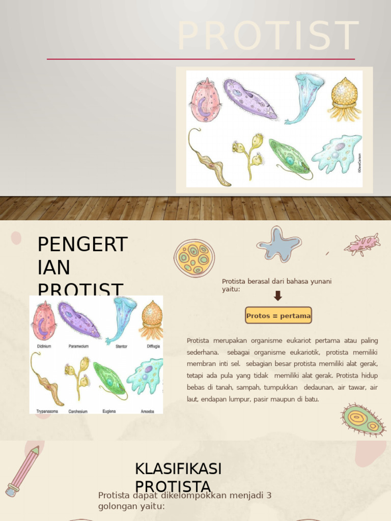 PPT Protista | PDF