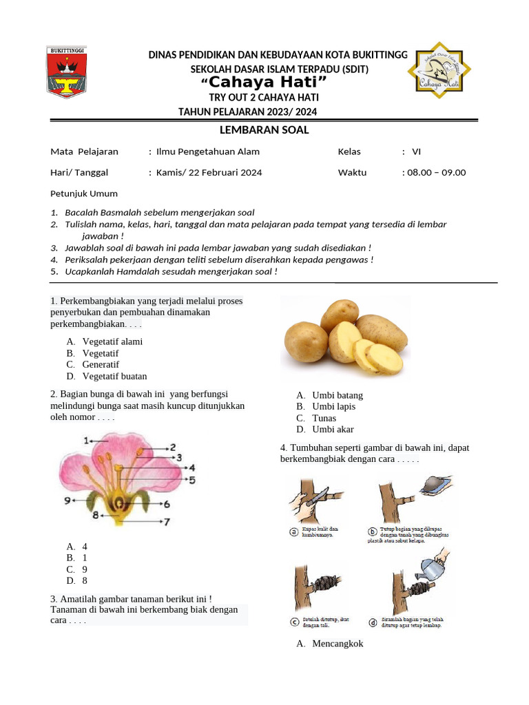 Soal IPA Try Out SD Kelas VI | PDF