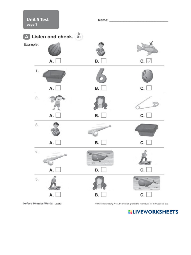 Phonics 2 Unit 5 Test | PDF
