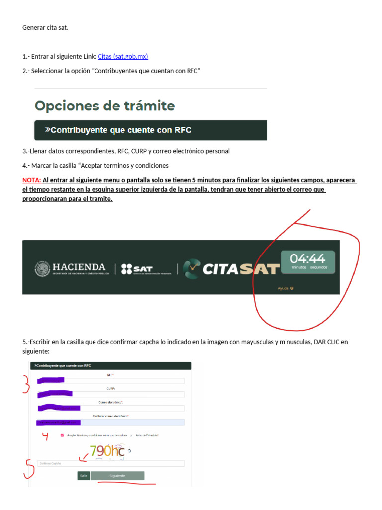 Manual para Generar Cita Sat de Entrega de Constancia CFDI 4.0 | PDF