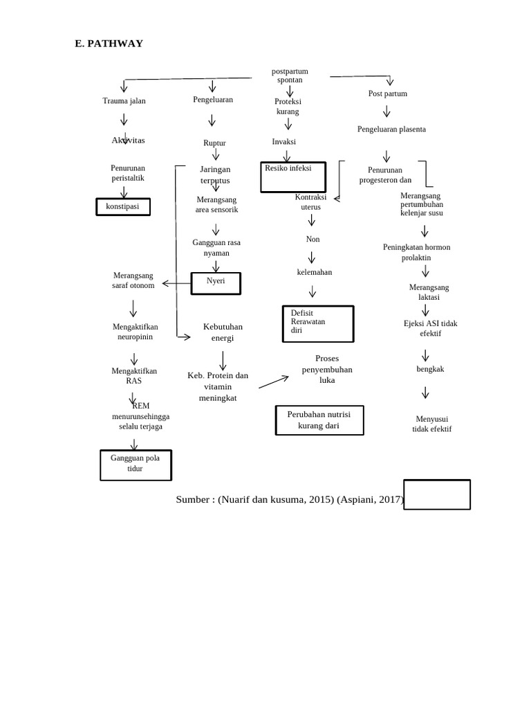 PATHWAY POSTPARTUM | PDF