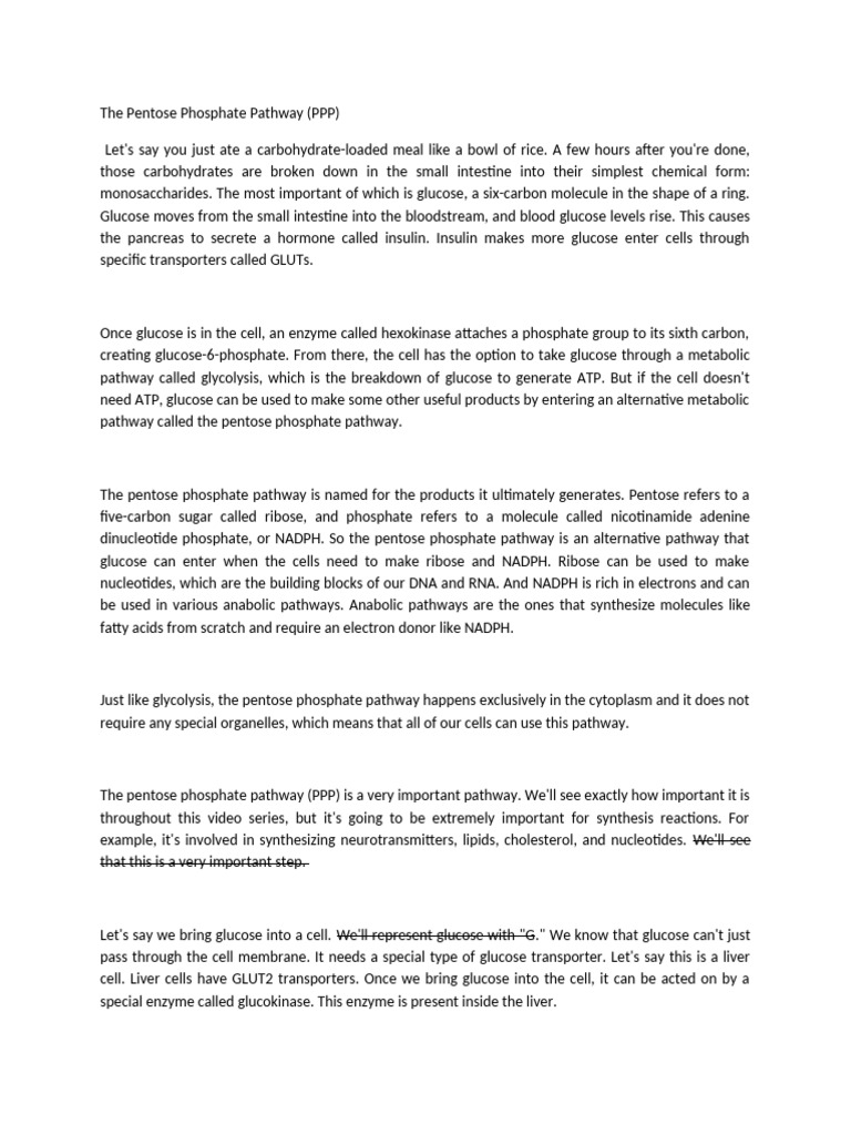 PPP transcript final.pdf | PDF | Nicotinamide Adenine Dinucleotide Phosphate | Glycolysis
