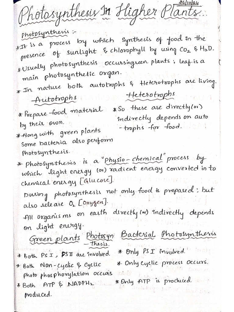 Photosynthesis in Higher Plants | PDF
