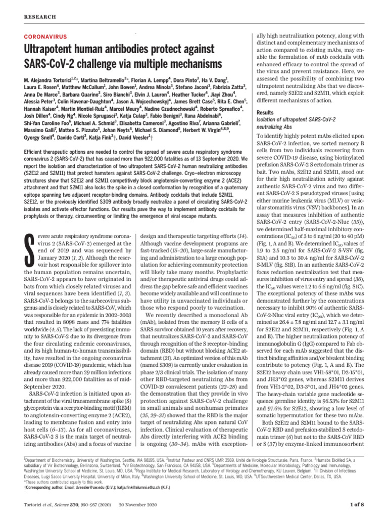 Ultrapotent Human Antibodies Protect Against SARS-CoV-2 Challenge Via ...